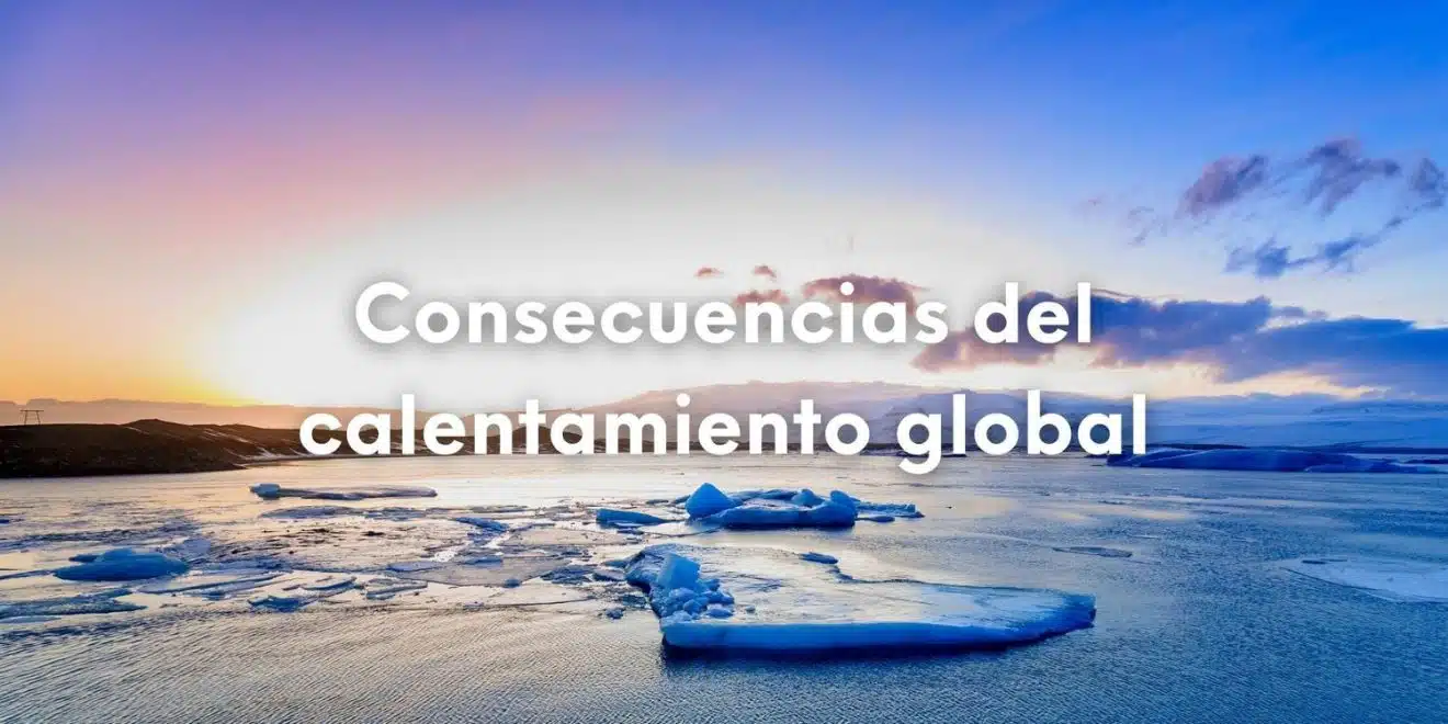 53 dibujos del calentamiento global: Impacto ecológico 2025
